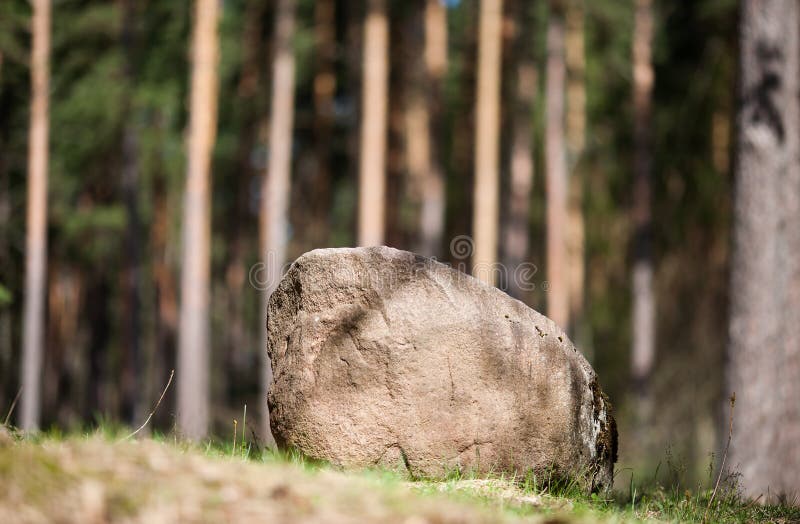 The Boulder on the Edge of the Forest Stock Image - Image of moss ...
