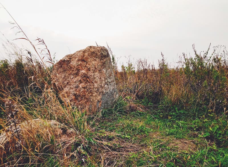 A Boulder in a Field stock photo. Image of leaf, closeup - 199012848
