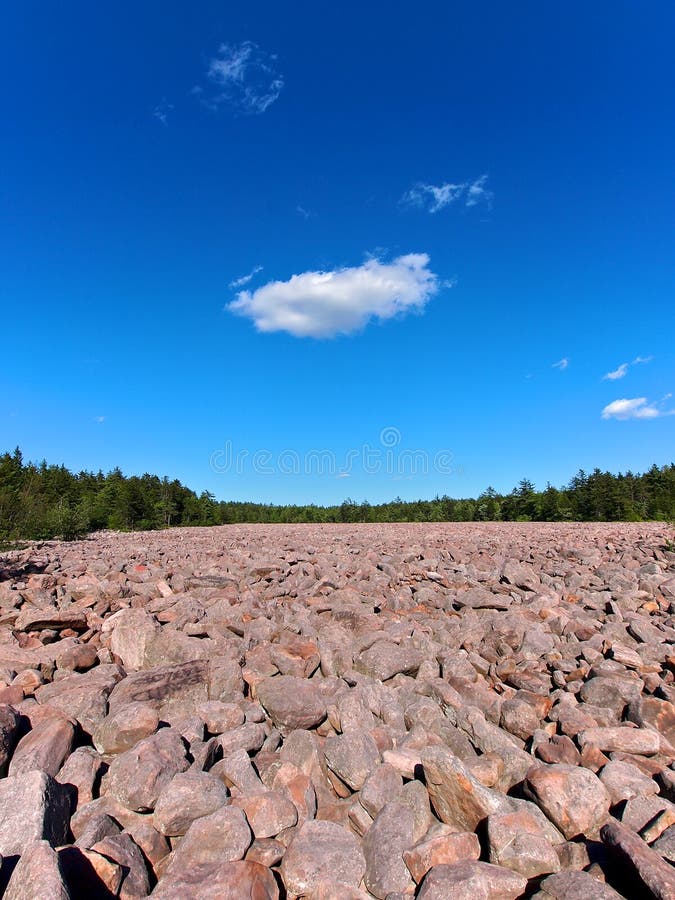 Boulder Field stock image. Image of trees, pine, landscape - 32372539