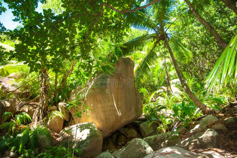 Boulder of Granite Rock into the Tropical Green Forest. Stock Image ...