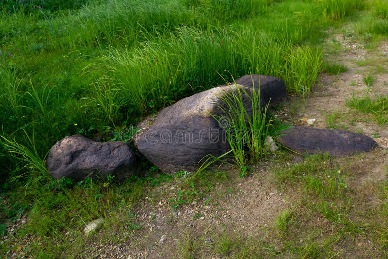 The Big Boulder in a Grass. Stock Image - Image of range, abloom: 7188023