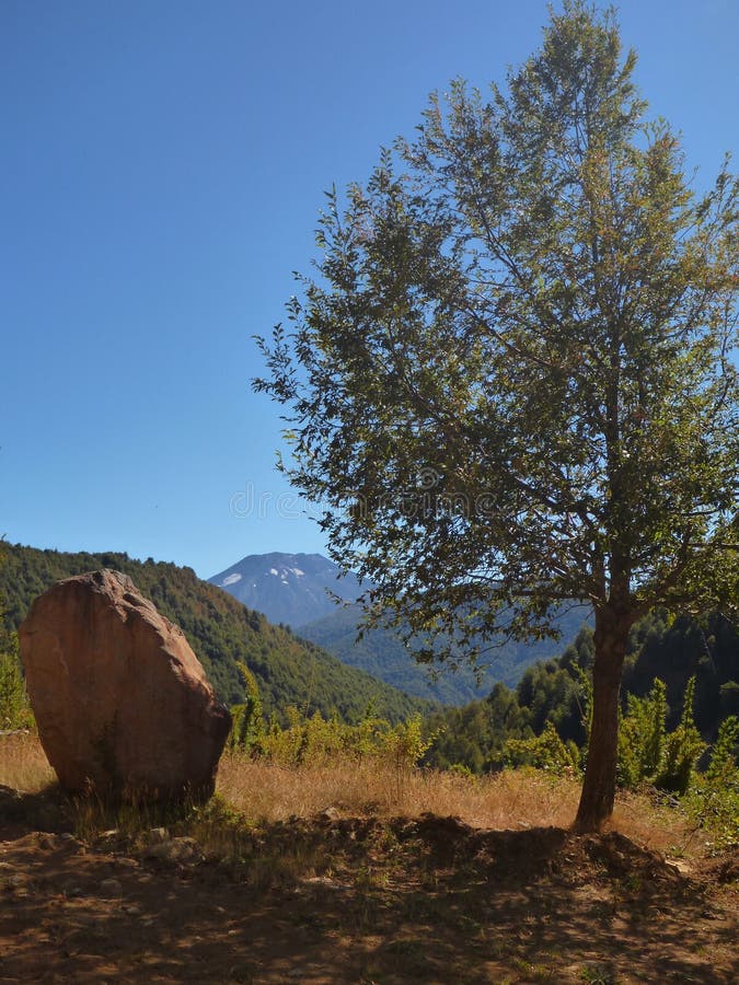 Boulder and a Green Tree in the Mountains Stock Photo - Image of nature ...