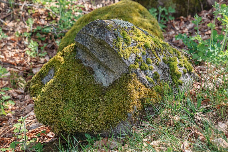 Boulder Overgrown with Moss Stock Image - Image of moss, brown: 85799535