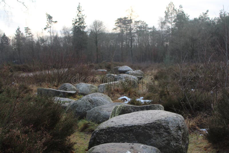 Boulder Path in Nature stock photo. Image of nature - 106283188