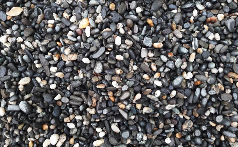 Boulder Pebble Beach Stones Background Seamless Texture for Design Use ...