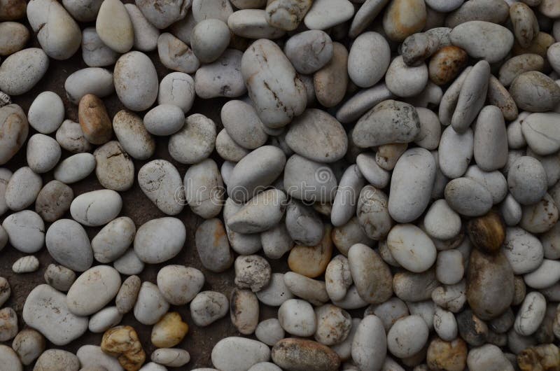 White Boulder Pebble Beach Stones Background Stock Image - Image of ...