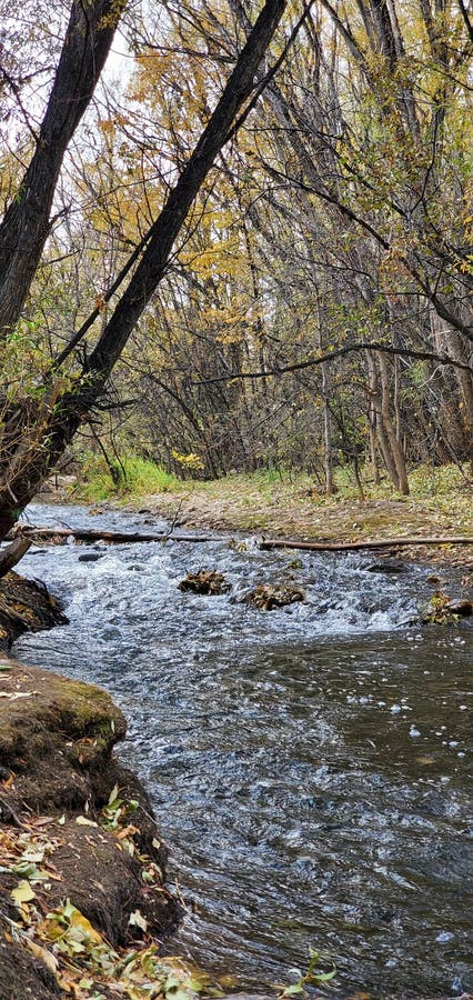 Boulder River during Fall 2019 Stock Image - Image of boulder, fall ...