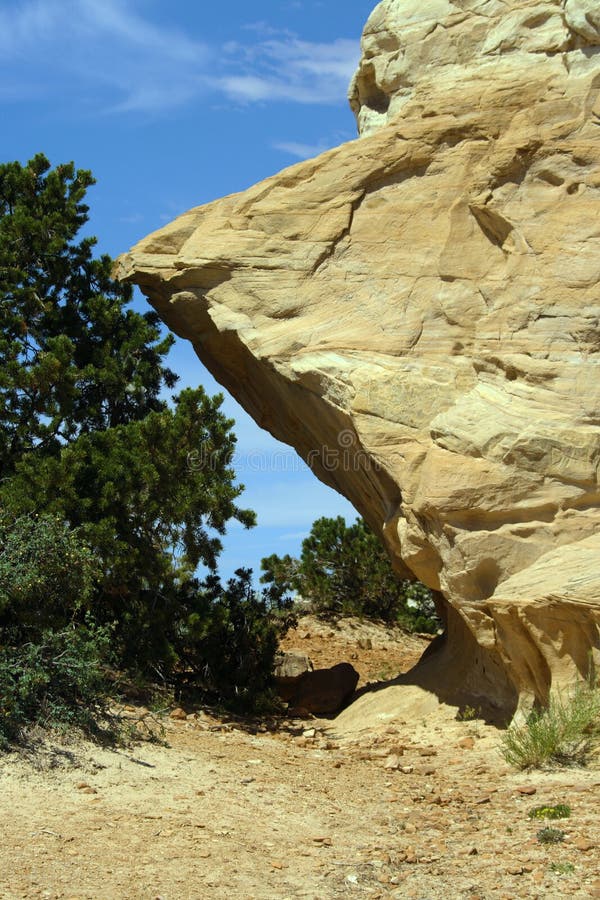 Boulder with Tree stock image. Image of geology, vegetation - 48050585
