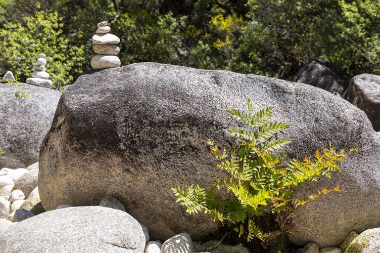 Boulder with Vegetation and Stone Stack Stock Photo - Image of ...