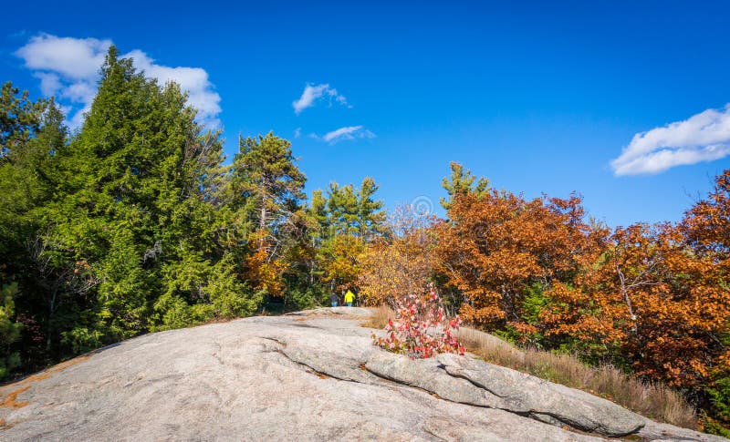 Boulder Walk stock image. Image of hampshire, autumn - 66408169