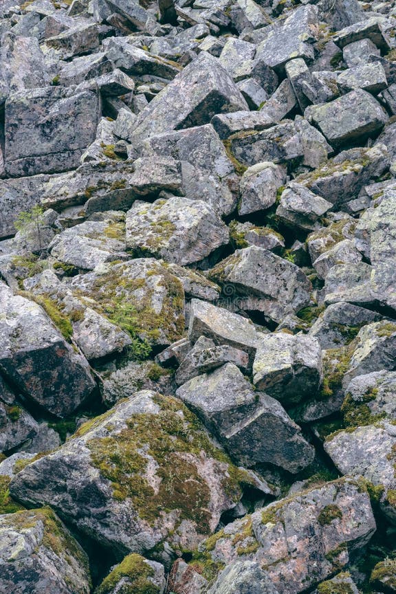 Boulders stock image. Image of rocks, totenã¥sen, mossy - 249074033