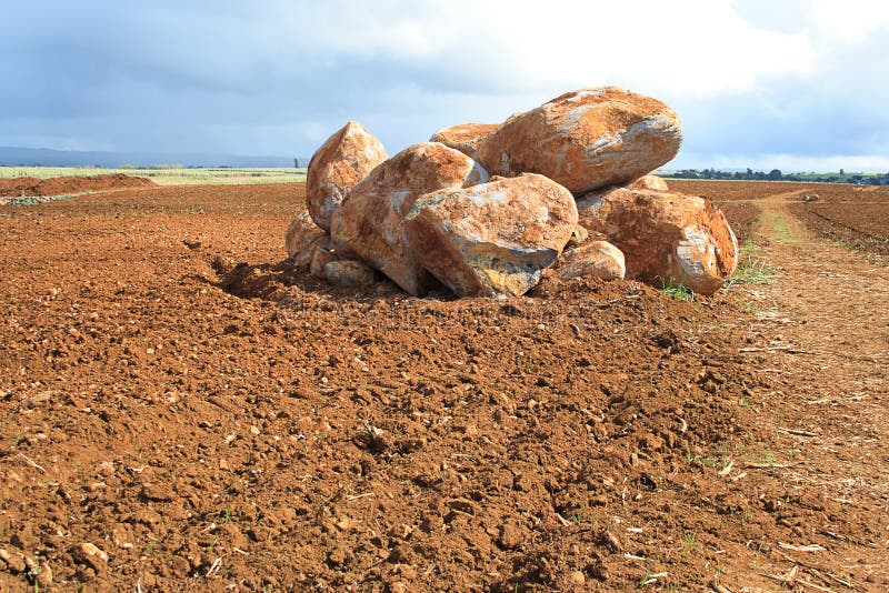 Boulders in the field. stock photo. Image of fields, tropical - 26040014