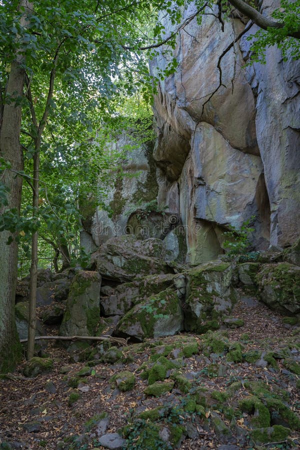 Boulders in Front of a Rock Wall in a Forest Stock Photo - Image of ...