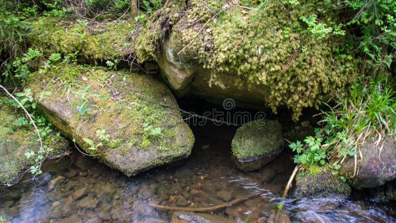 Inside Black Forest River Little Waterfall in Background Stock Image ...