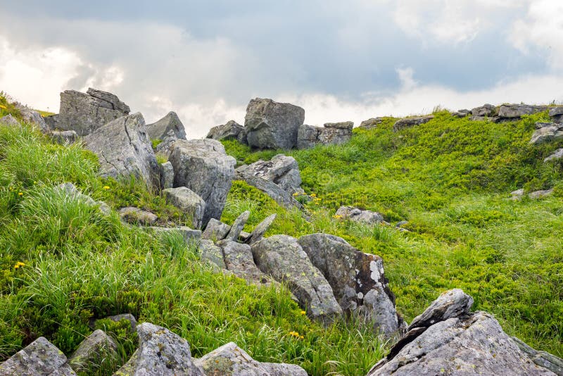 Boulders on the Mountain Meadow Stock Image - Image of outdoor ...