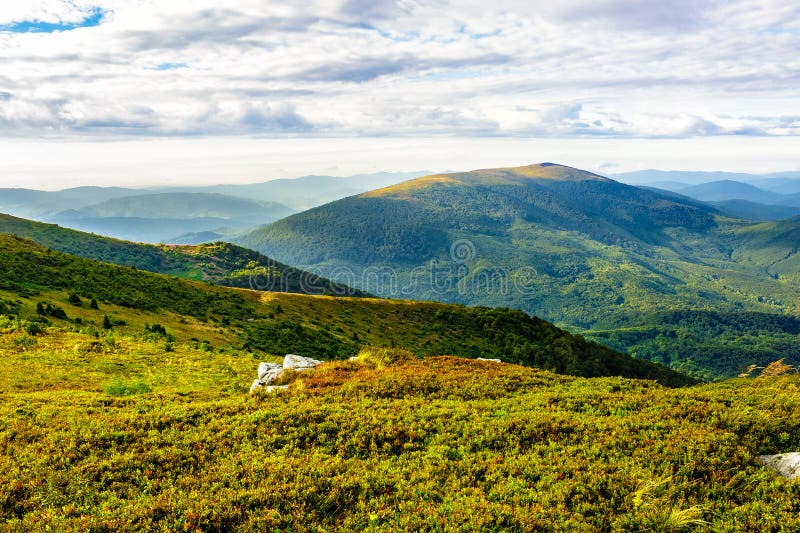 Boulders on the Mountain Meadow Stock Image - Image of outdoor ...