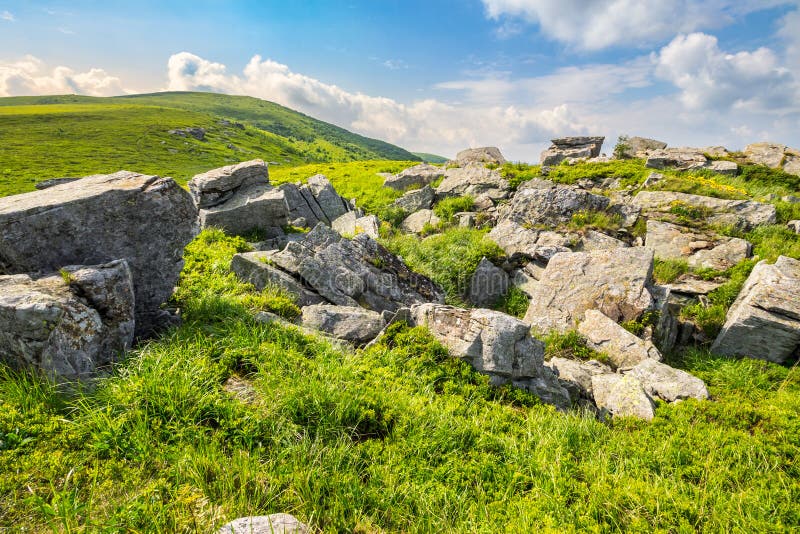 Boulders on the Mountain Meadow Stock Image - Image of outdoor ...