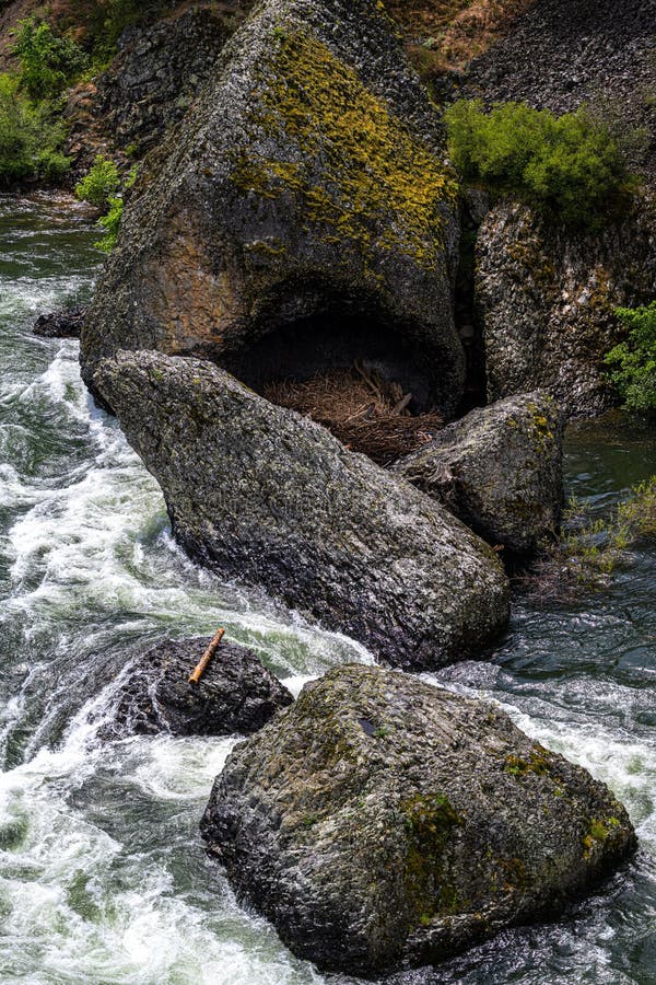 Boulders in the River stock photo. Image of flowing - 250106610