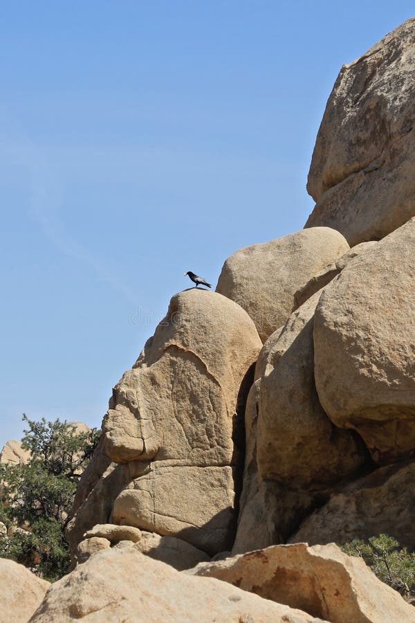 Boulders Joshua Tree National Park Stock Image - Image of boulder ...