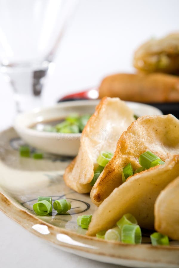 Boulette chinoise image stock. Image du sauce, boulette - 8591813