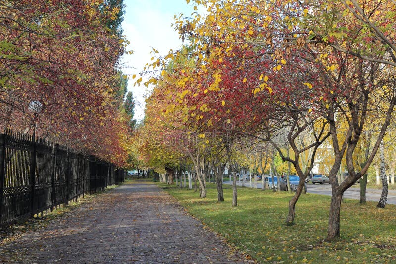 Boulevard autumn stock image. Image of sidewalk, leaf - 78386685