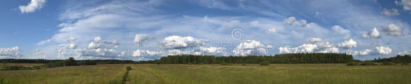 Boundless field stock photo. Image of green, backgrounds - 10827006
