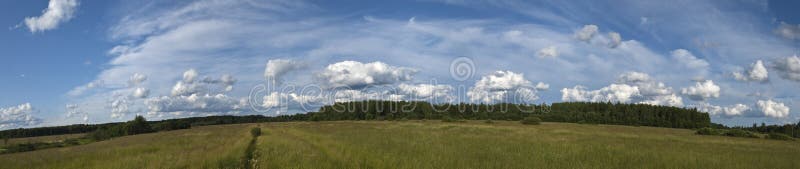 Boundless field stock photo. Image of horizontal, bush - 10995898