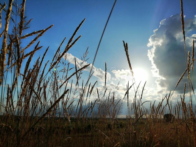 The boundless field stock photo. Image of reflection - 212901750