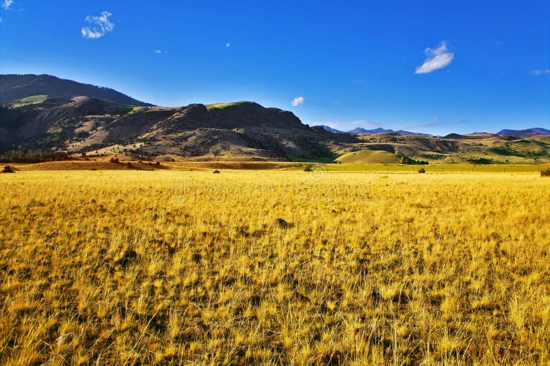 Boundless field. stock photo. Image of culture, evening - 9835066
