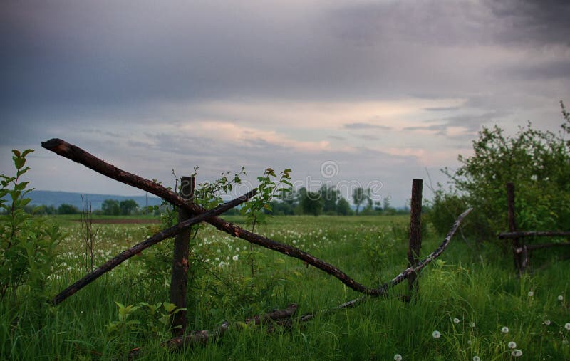 Boundless Field with Green Grass for a Good Rest Stock Photo - Image of ...