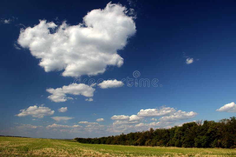 Boundless field. stock image. Image of savanna, hill - 78943687