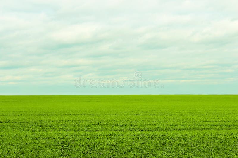 The boundless green field stock image. Image of land - 34244085