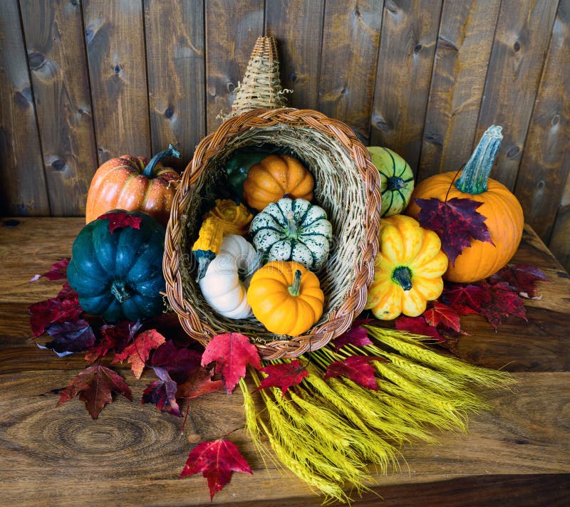 Cornucopia for Thanksgiving Stock Photo - Image of november, basket ...