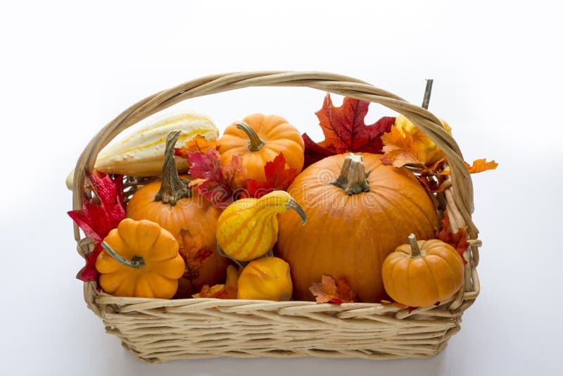 Fall Basket Overflowing with Pumpkins, Gourds & Fall Leaves Stock Image ...