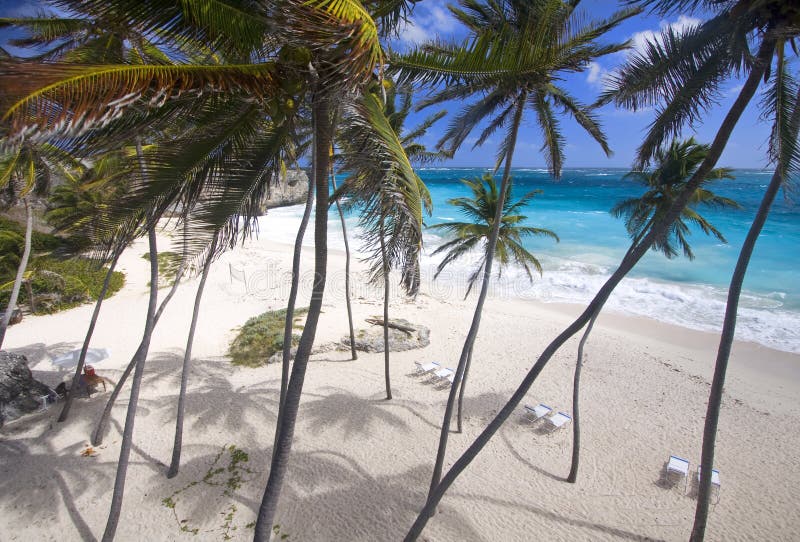 Bounty beach stock image. Image of dream, lagoon, relax - 8136653