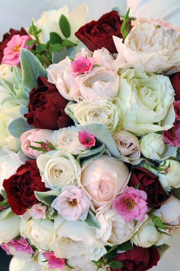 Bouque stockfoto. Bild von zukunft, zusammenarbeit, geben - 55719626