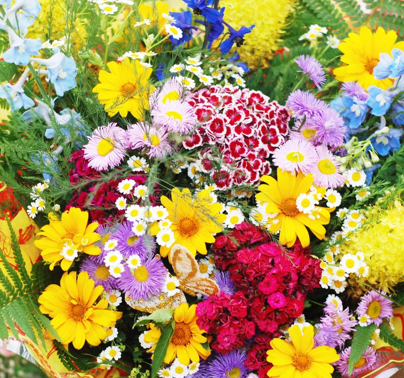 Bouquet stock image. Image of nature, bouquet, spring - 5811307