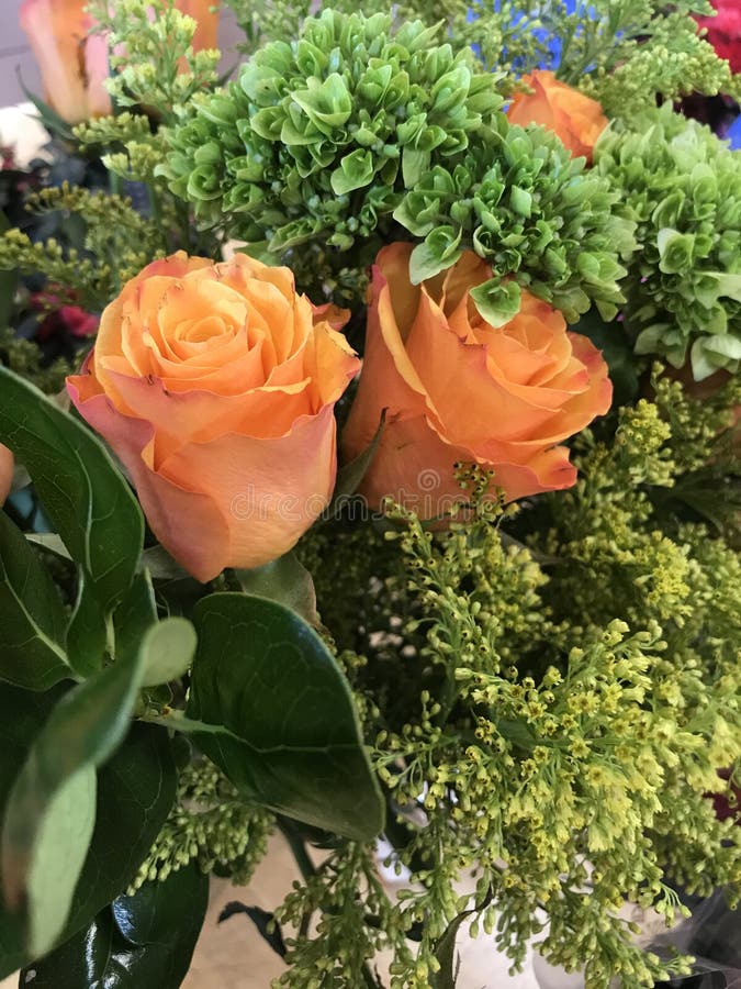 Bouquet Hydrangea Rose 1485 Stock Image - Image of blossom, color ...