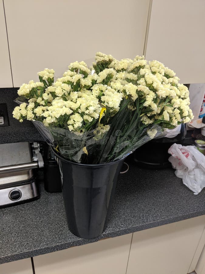 A Bouquet of Assorted Flowers Stock Image - Image of blooming, flower ...