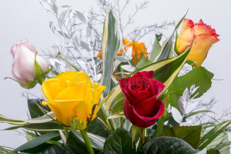 Bouquet of Assorted Multicolored Roses Stock Photo - Image of rosas ...