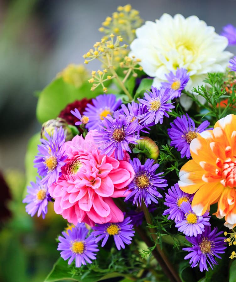 Bouquet of autumn flowers stock photo. Image of closeup - 101478110