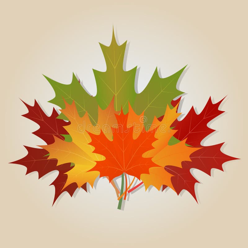 Autumn maple leaf. stock vector. Illustration of november - 127101039