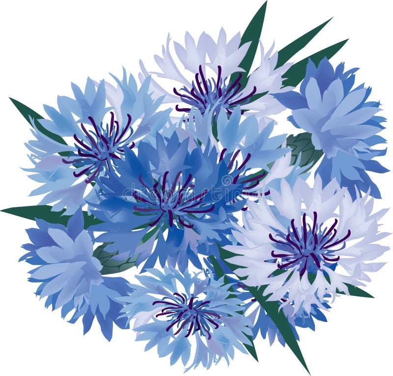 Bouquet Avec Les Fleurs Bleues Illustration de Vecteur - Illustration ...