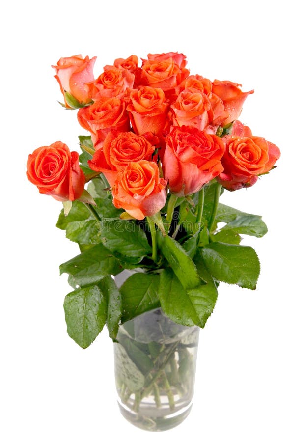 Bouquet of Beautiful Fresh Red Roses Stock Photo - Image of sentimental ...