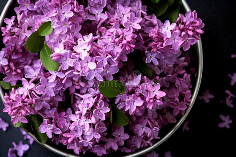 A Bouquet of Beautiful Lilacs in a Vase. Stock Image - Image of blossom ...