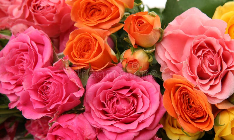 Bouquet of roses stock photo. Image of flower, roses - 121621668