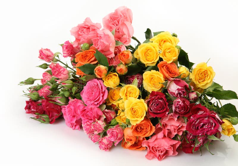 Bouquet of colored roses stock photo. Image of blossoming - 121621670