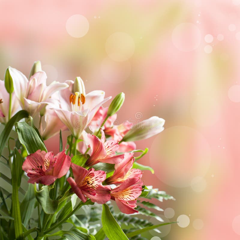 Bouquet of Beautiful Pink Flowers with Bokeh Stock Image - Image of ...