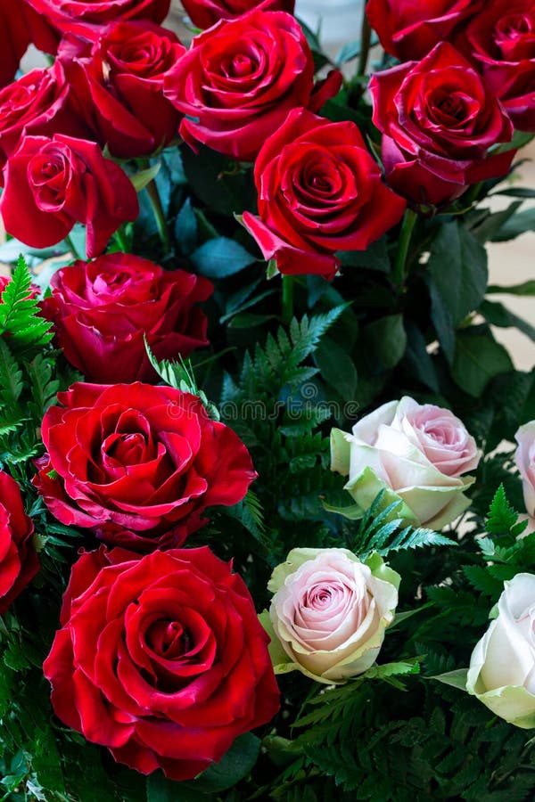 Bouquet of Beautiful Red and Pink Rose Flowers Stock Image - Image of ...