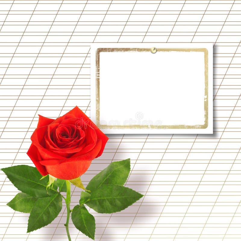 Bouquet of Beautiful Red Roses Stock Image - Image of event, copybook ...